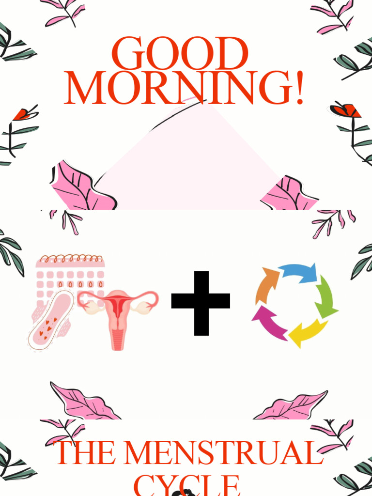 The Menstrual Cycle | PDF