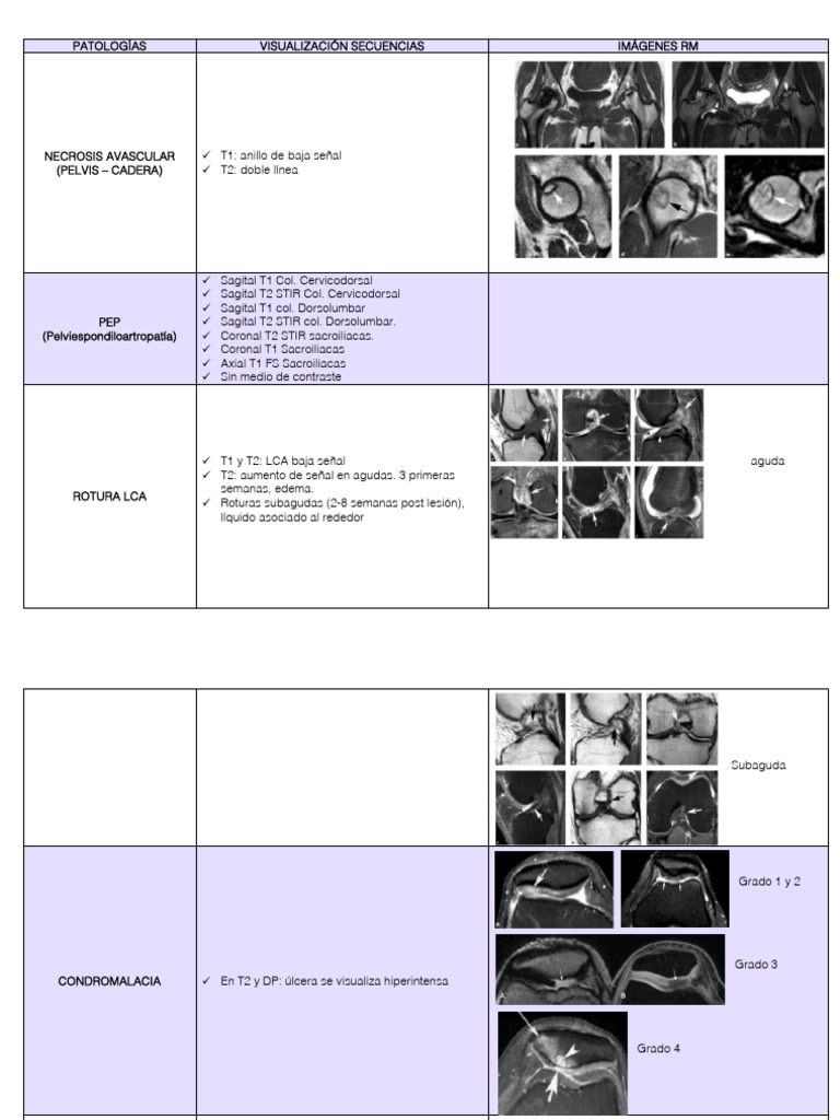 14, 15. PATOLOGÍAS EEII - EESS | PDF
