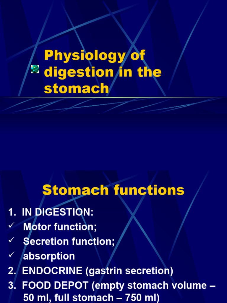 Stomach Digestion Physiology Explained | PDF | Stomach | Chemistry