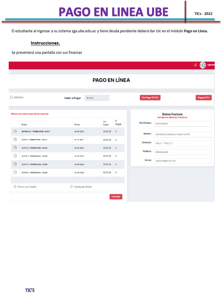 manual_pagoenlinea | PDF | Informática | Industrias de servicio