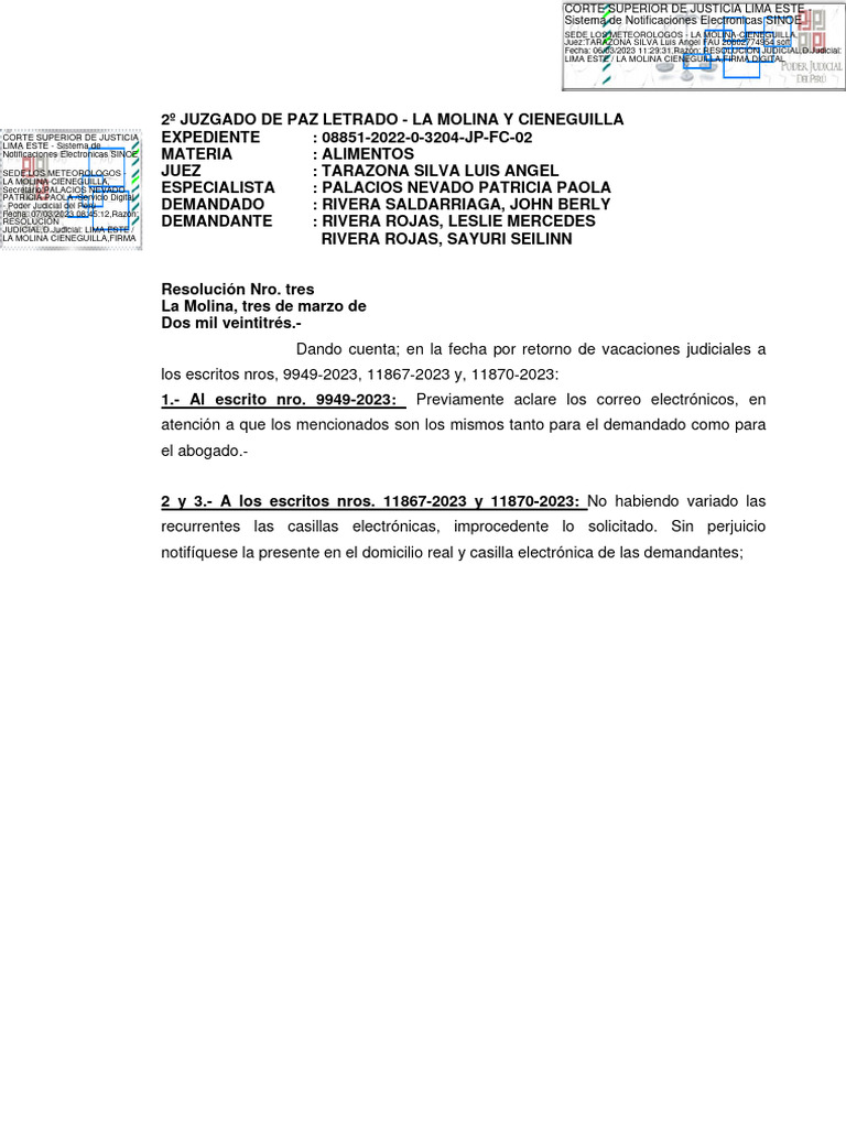 Exp. 08851-2022-0-3204-JP-FC-02 - Resolución - 29378-2023 | PDF ...