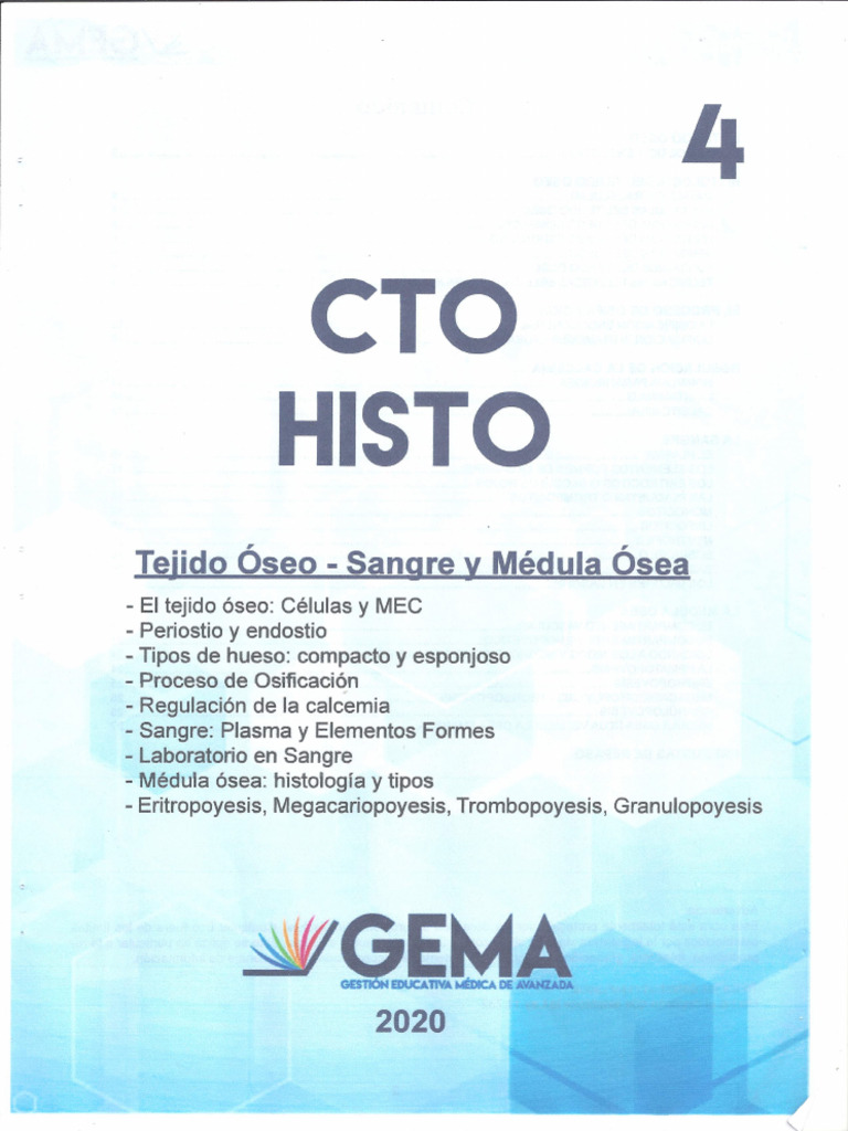 Histologia CTO 4 | PDF