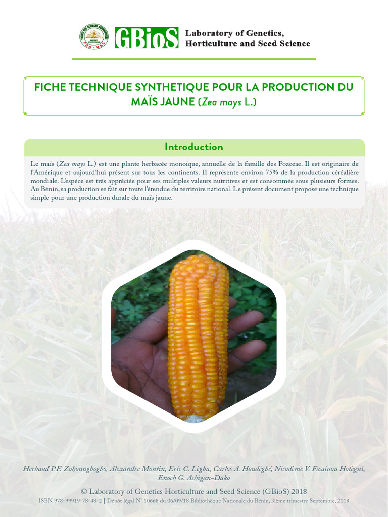 Fiche technique production du maïs jaune | PDF | Maïs | Fertilisant