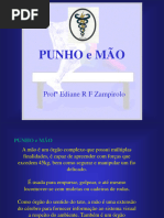 Aula 6 Ossos, Músculos, Inervação e Vascularização Do Punho e Mão | PDF ...