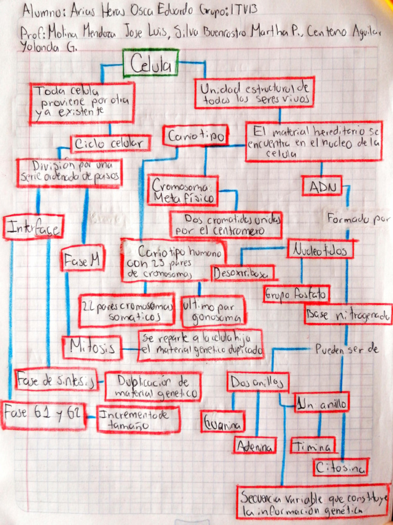 Célula Mapa Conceptual - Arias Oscar | PDF