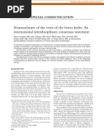 Terminology of Lower Limb Perforators | PDF | Vein | Foot