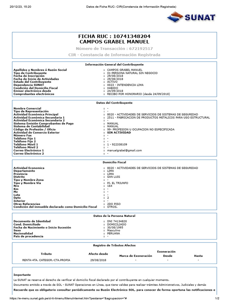 Ficha Ruc 122023 | PDF | Industrias de servicio