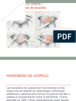 Maniobras de Leopold | PDF