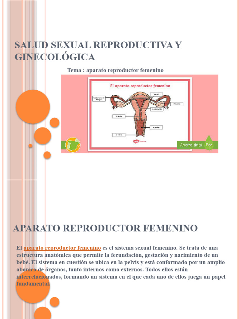 Aparato Re Roductor Power Nuevo | PDF | El embarazo | Sistema reproductivo