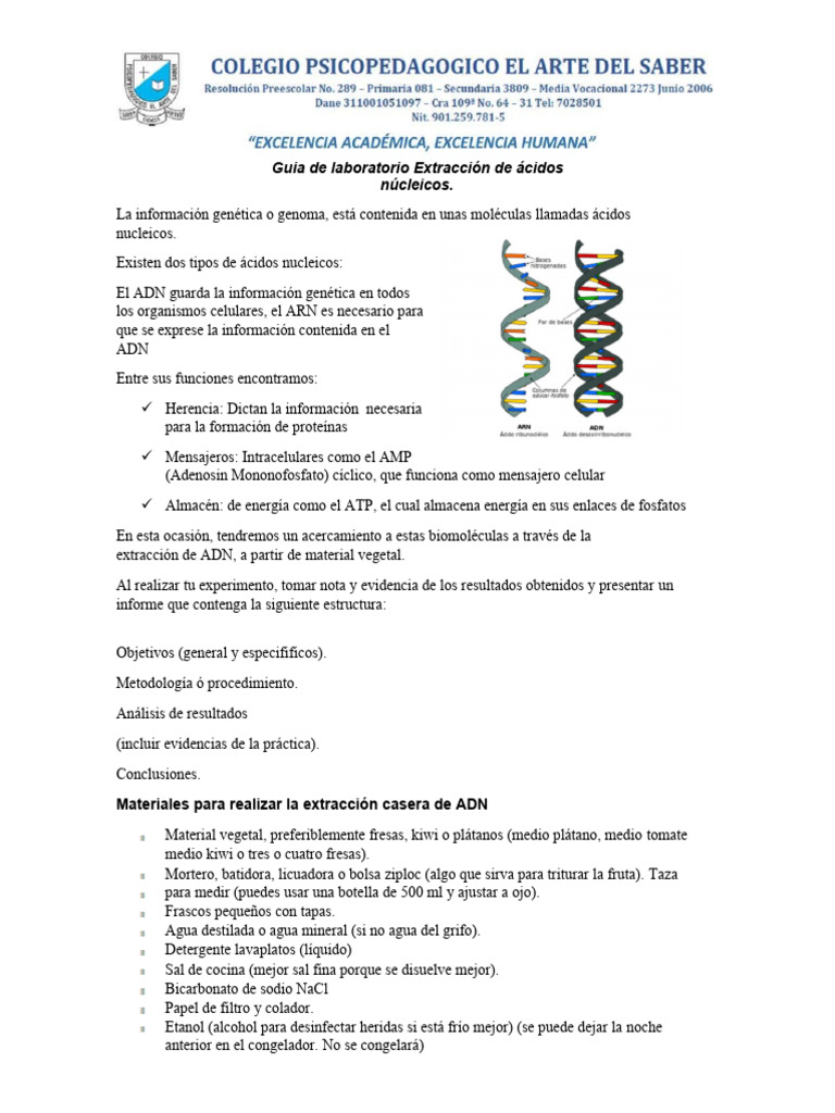 Guia de Laboratorio Extracción de Ácidos Núcleicos 9no | PDF | Adn | Biología Celular)