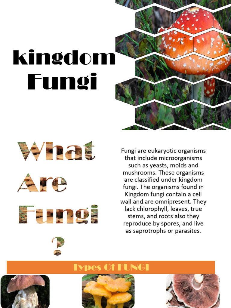 Kingdom Fungi | Download Free PDF | Fungus | Organisms
