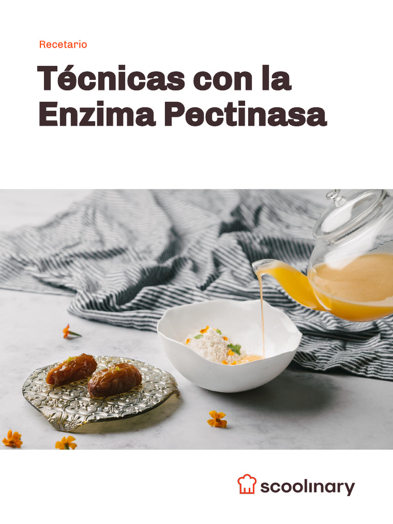 Técnicas Con La Enzima Pectinasa: Recetario | PDF | Piña | Helado
