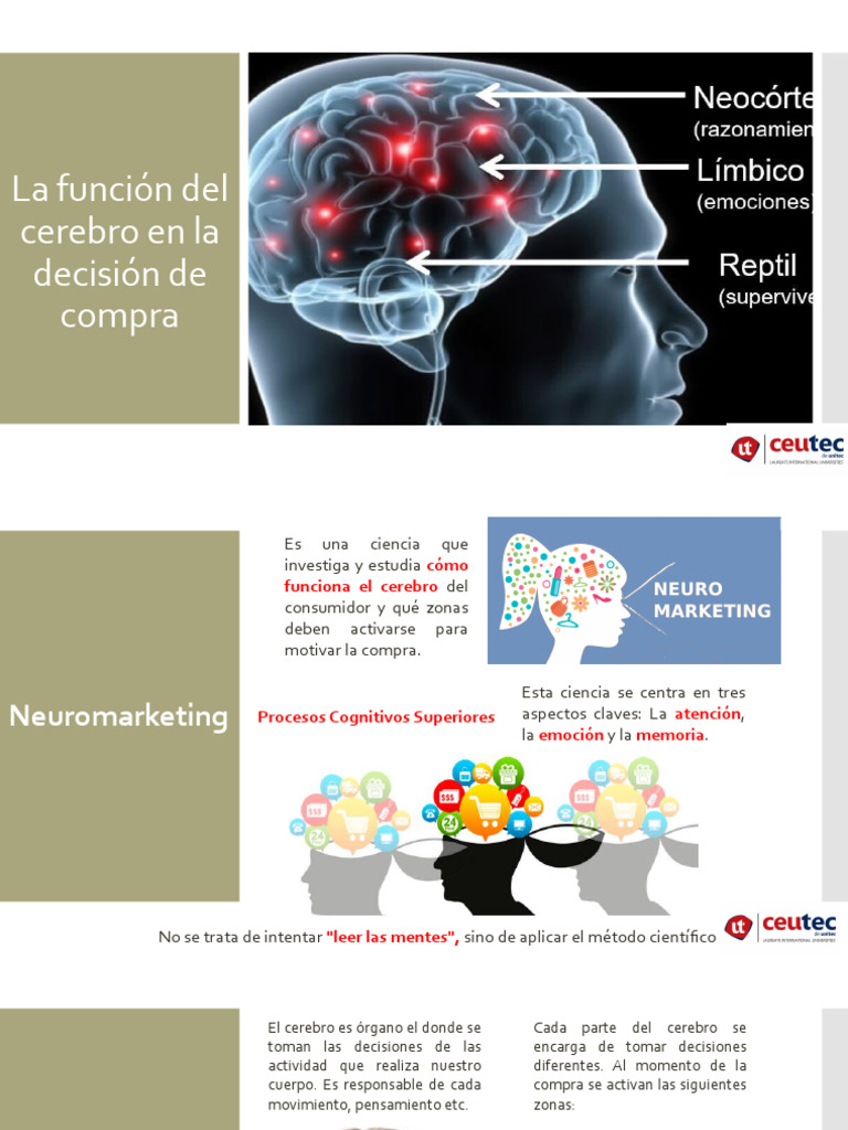 Neuromkt Pdf Cerebro Neuropsicología