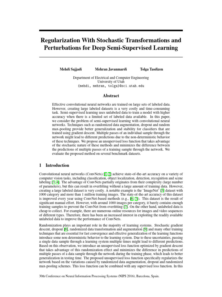 6333 Regularization With Stochastic Transformations And Perturbations