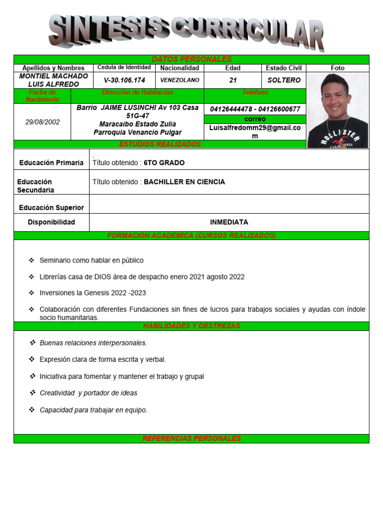 Curriculum Luis Alfredo | PDF