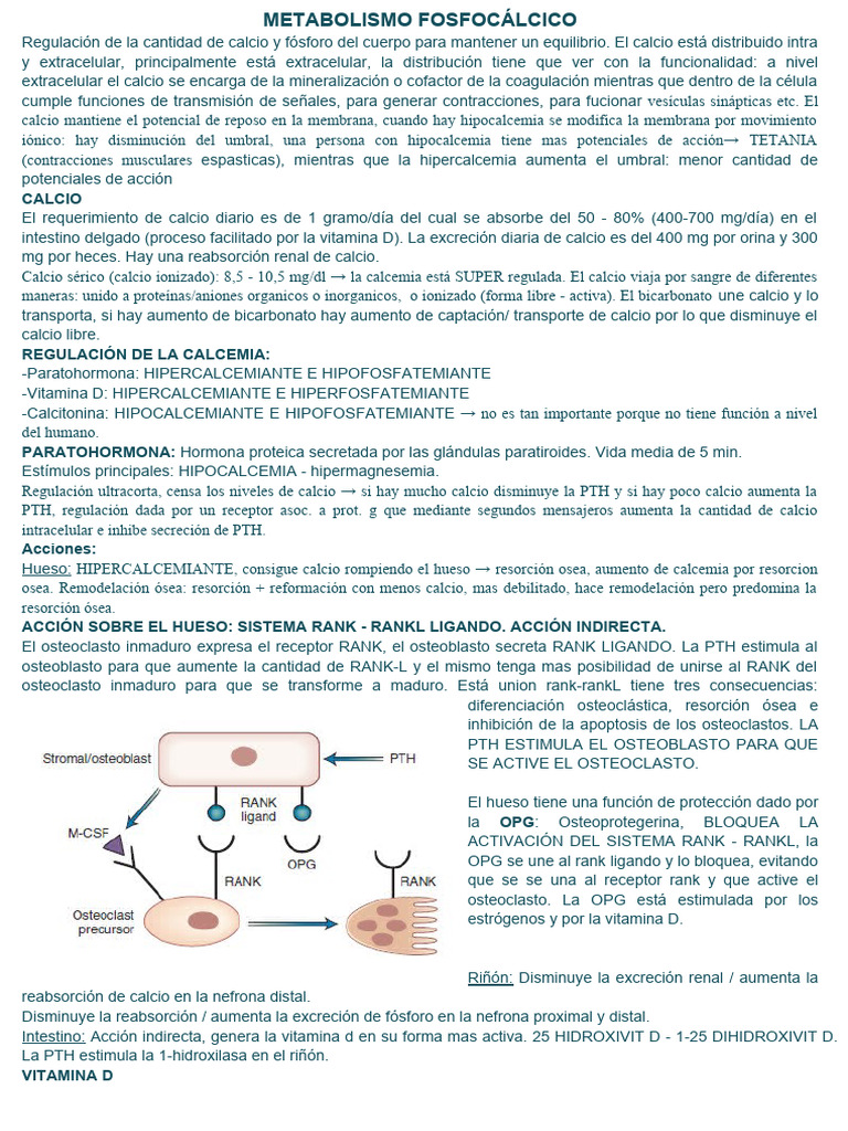 Fosfocalcico y tiroides | PDF | Hormona estimulante de la tiroides | Tiroides