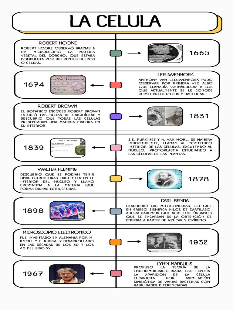 Linea Del Tiempo La Celula | PDF | Biología Celular) | Microscopio