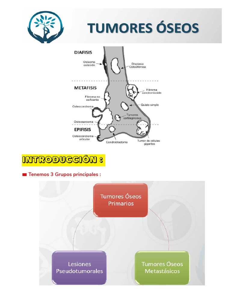 Tumores Oseos | PDF | Cáncer | Neoplasias