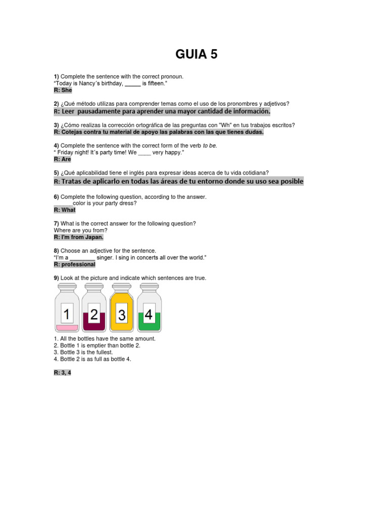 5 Guia Estudio N | PDF | Grammatical Number | Pronoun