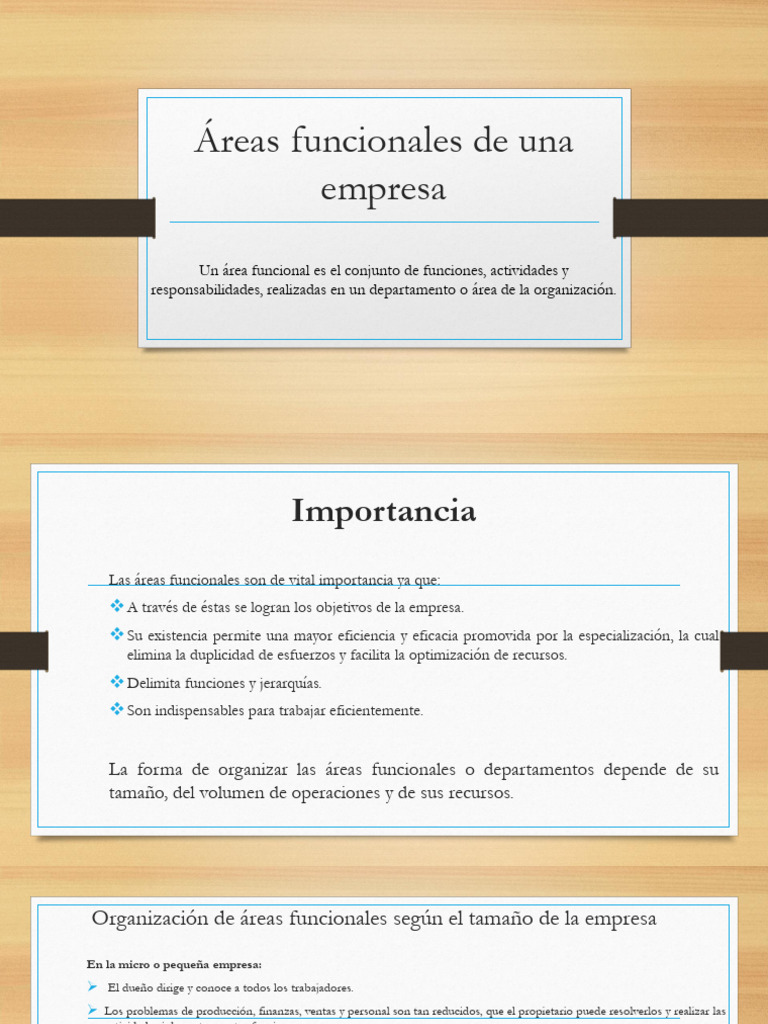 Áreas funcionales | PDF | Marketing | Business