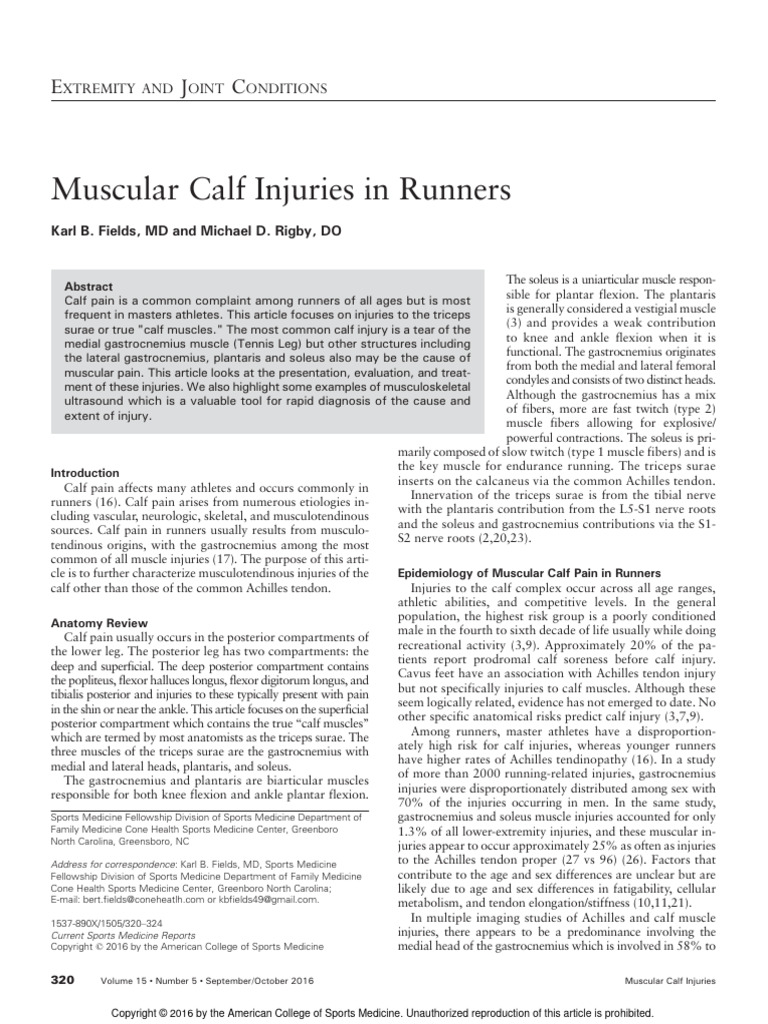Muscular Calf Injuries in Runners | PDF | Human Leg | Medicine