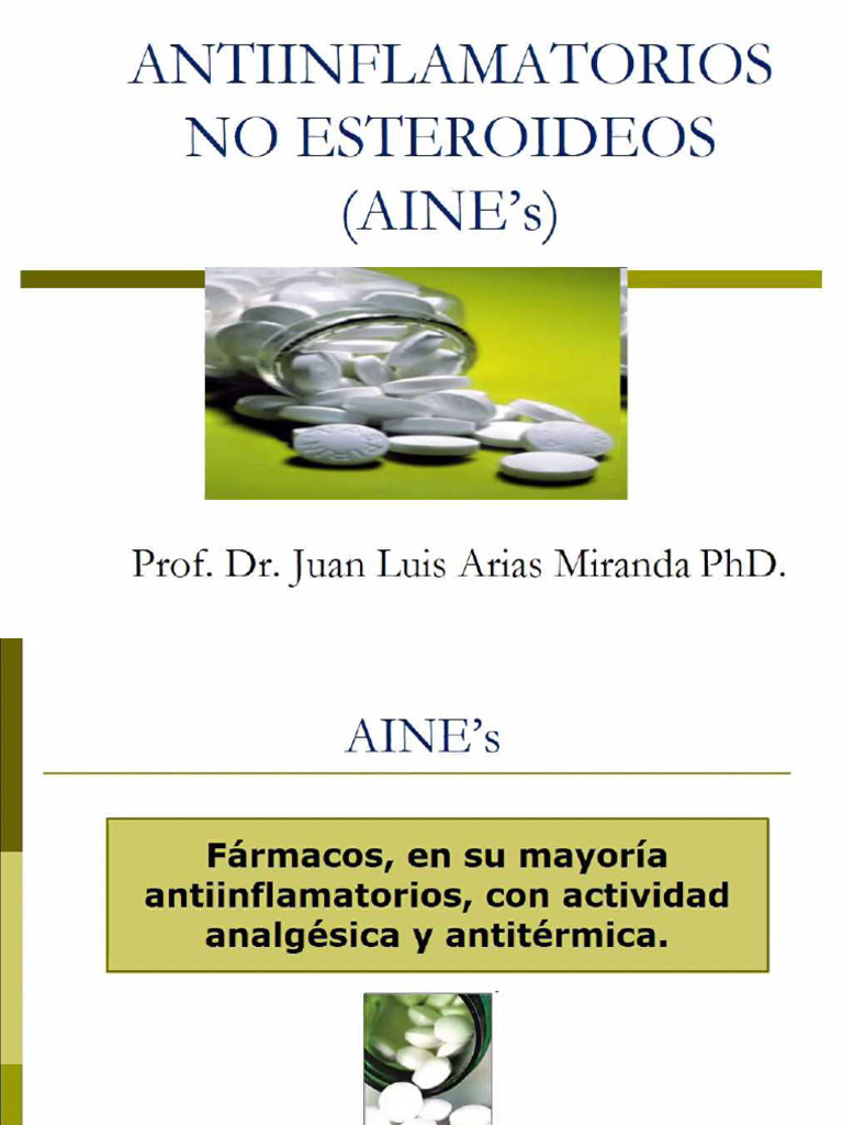 01 AINES | PDF