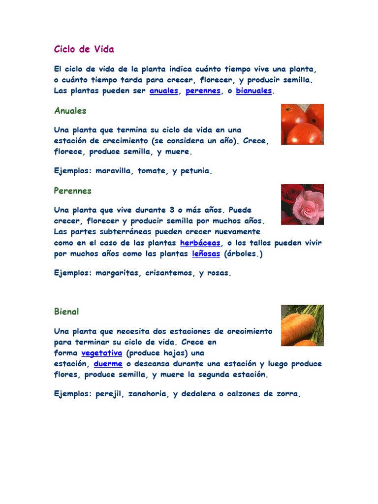 Ciclo de Vida de Plantas Anuales y Más | PDF