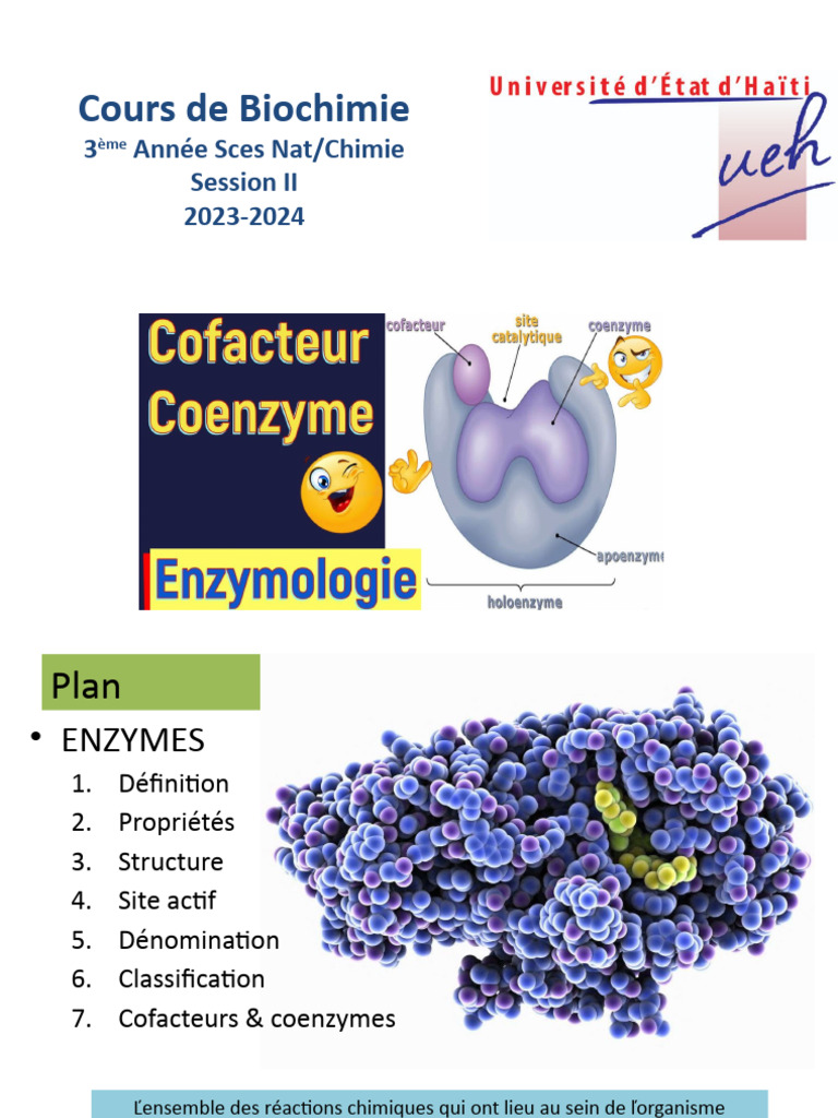 Enzymes | PDF | Inhibiteur enzymatique | Enzyme