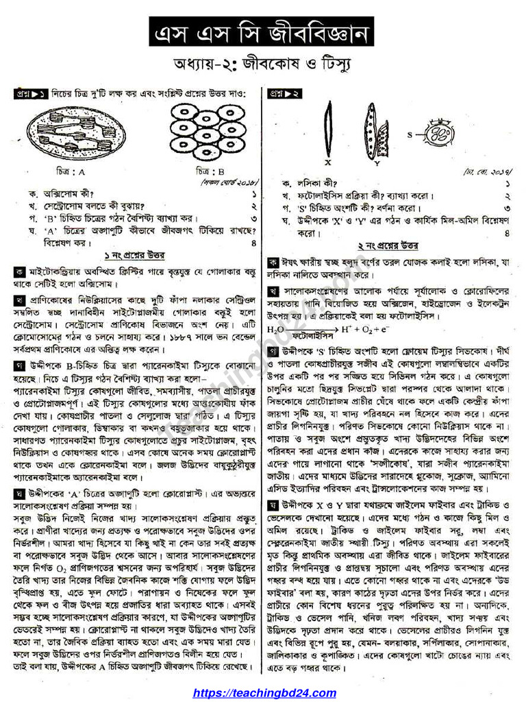 SSC Biology Notes 2nd Chapter Cell and Tissue of Organism | Download ...