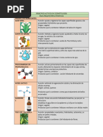 Escala de Glogau | PDF