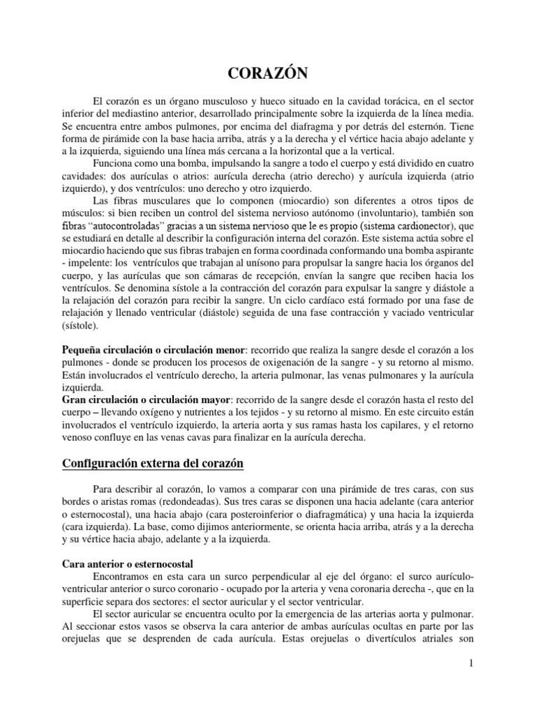 Corazón | PDF | Corazón | Ventrículo (corazón)