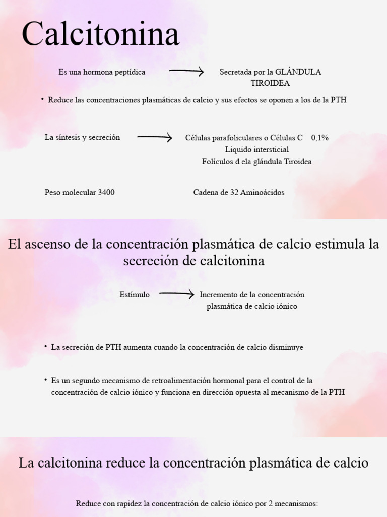 Función y Efectos de la Calcitonina | PDF