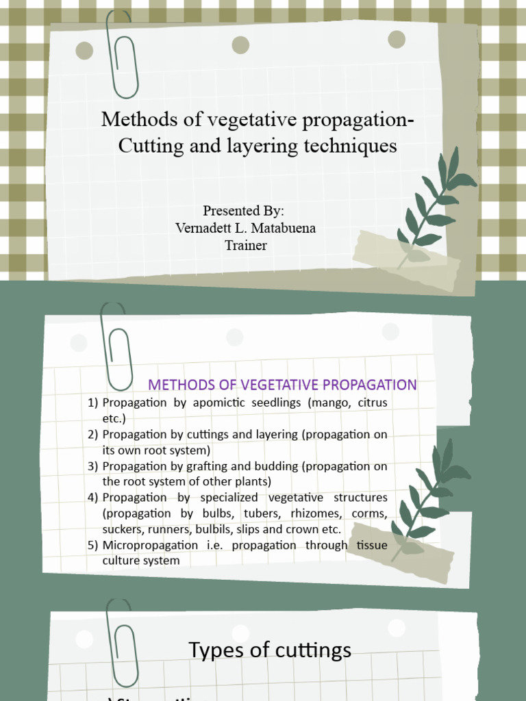 Vegetative Propagation Techniques Guide | PDF | Branches Of Botany ...