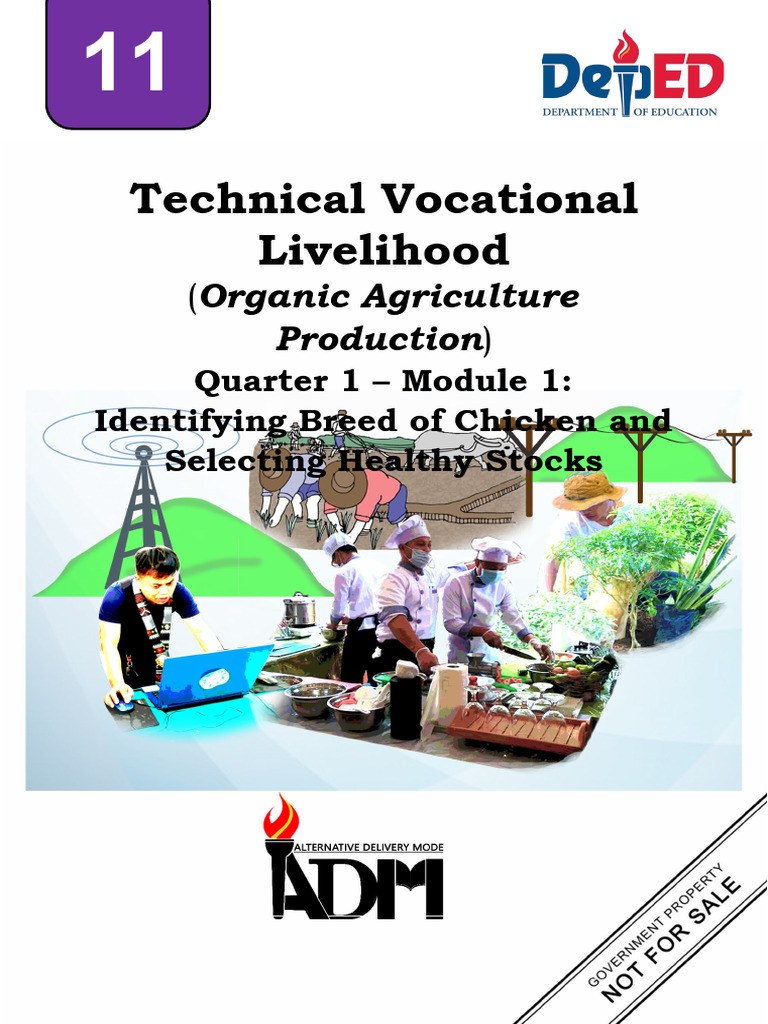 Module 1 | PDF | Chicken | Birds