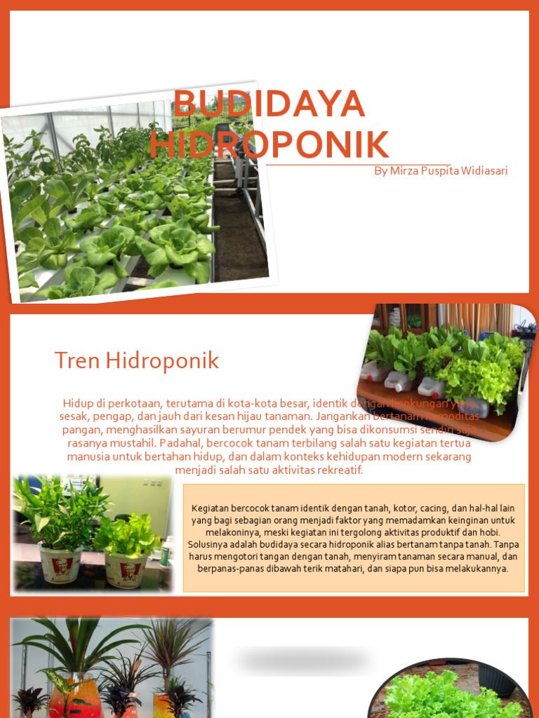 Budidaya Hidroponik | PDF | Griya & Taman | Sains & Matematika
