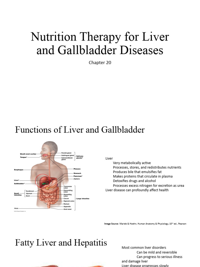 Lecture 08 - Liver and Gallbladder | PDF | Cirrhosis | Hepatitis Lecture 08 - Liver and Gallbladder | PDF | Cirrhosis | Hepatitis