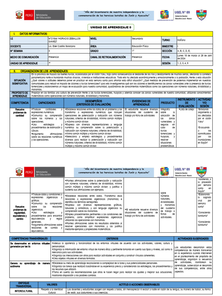 Estilos de Aprendizaje 2025 en Educación Física | PDF | Aprendizaje ...