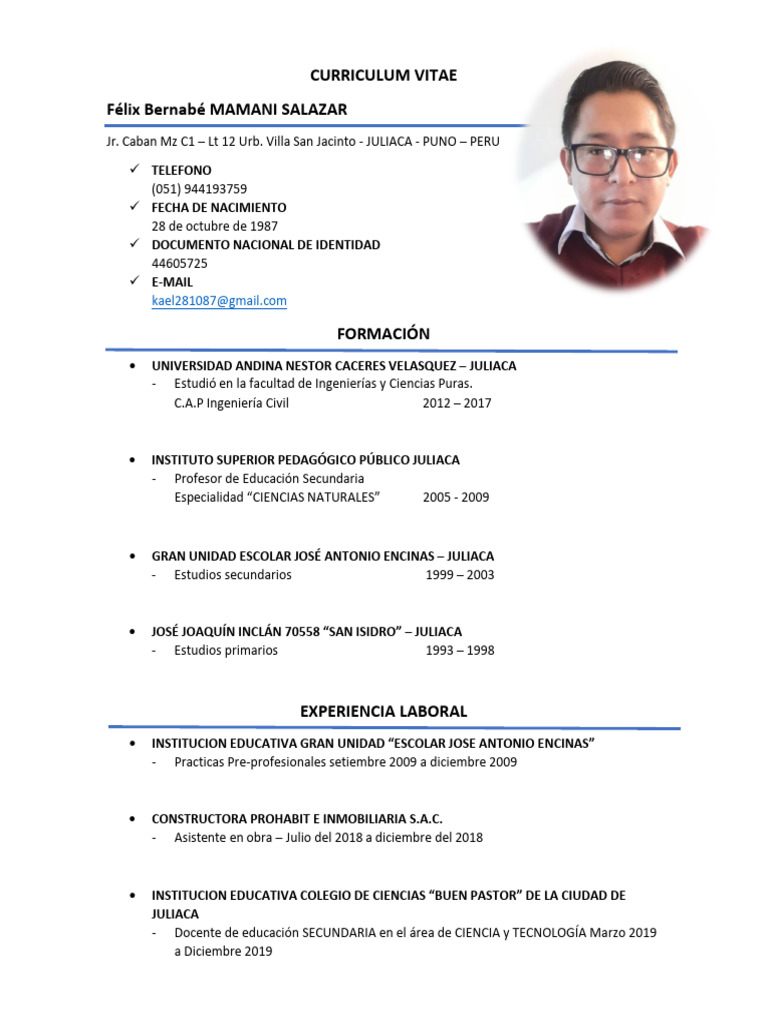 CV Félix B. Mamani Salazar | PDF