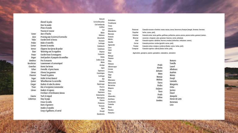 Ficha vocabulario ELE - El campo | PDF | Agricultura | Comida y bebida