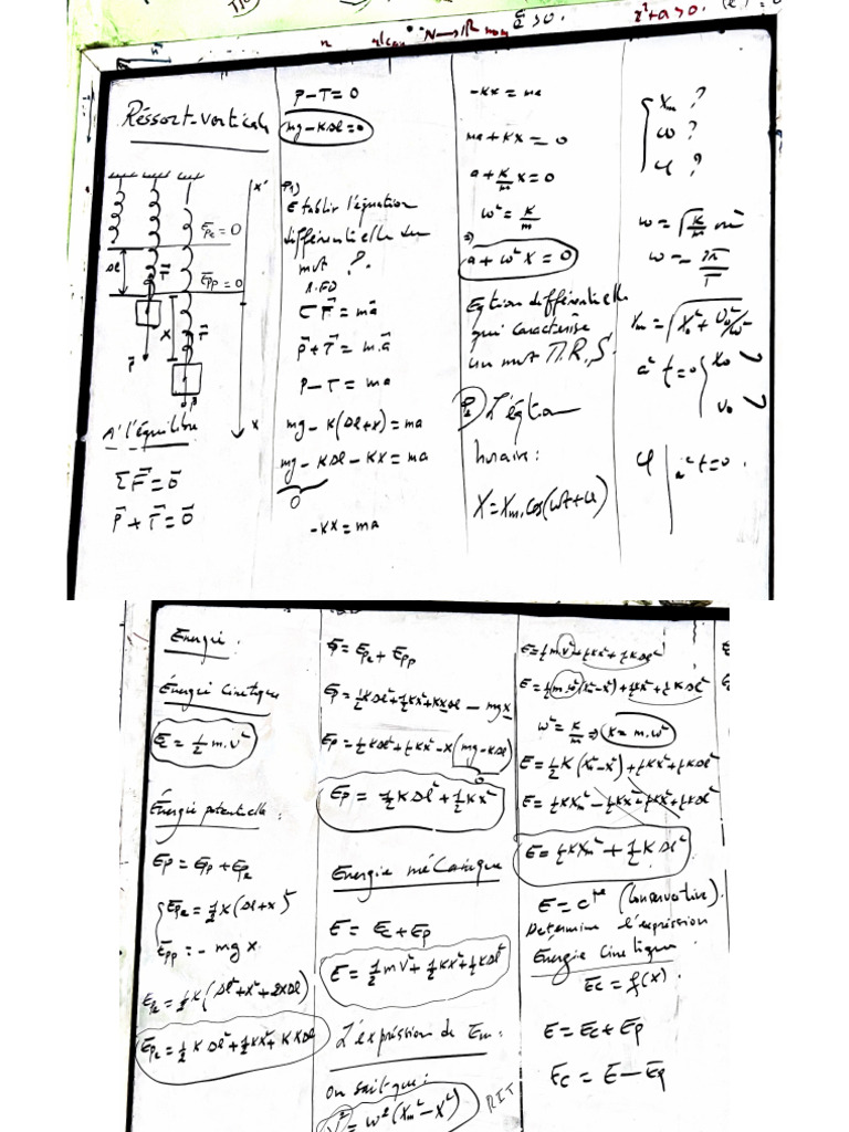 Rassort Verticals | PDF