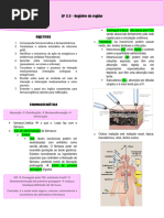 Bula Vatis 150 MG - Profissional - V3 15 Ampliada | PDF ...