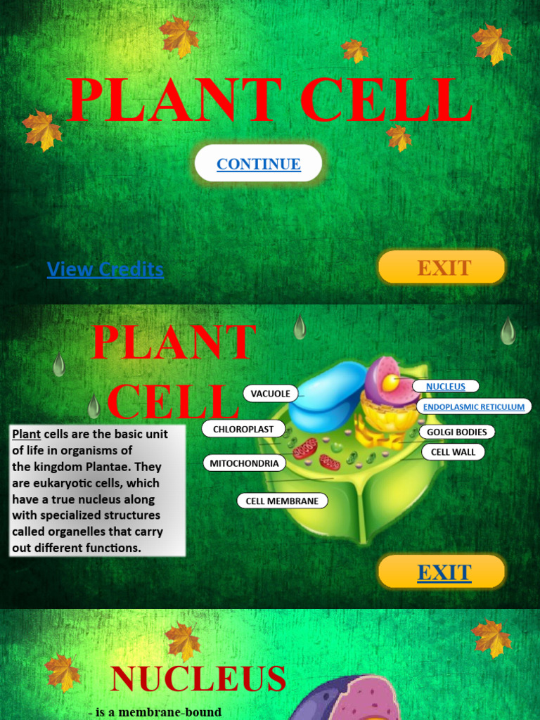 Powerpoint Presentation Mark John Vinuya | PDF