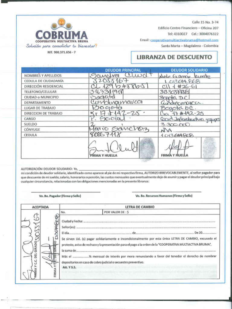 Documentos Cobruma Sandra Chudt | PDF