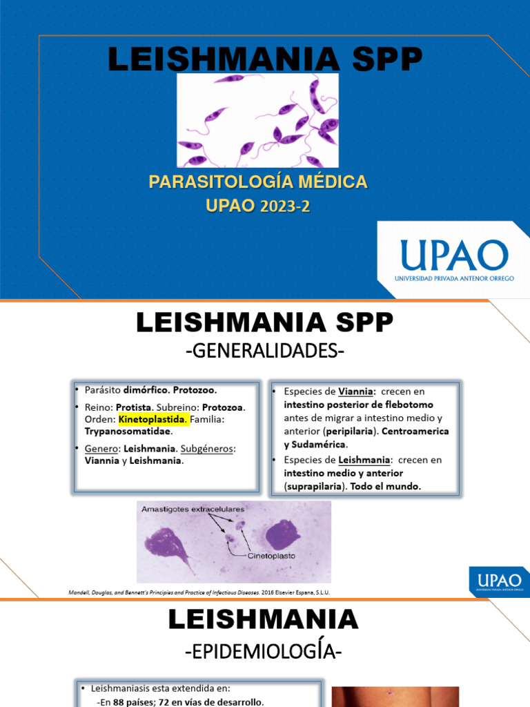 Leishmaniasis: Epidemiología y Diagnóstico | PDF | Leishmania ...