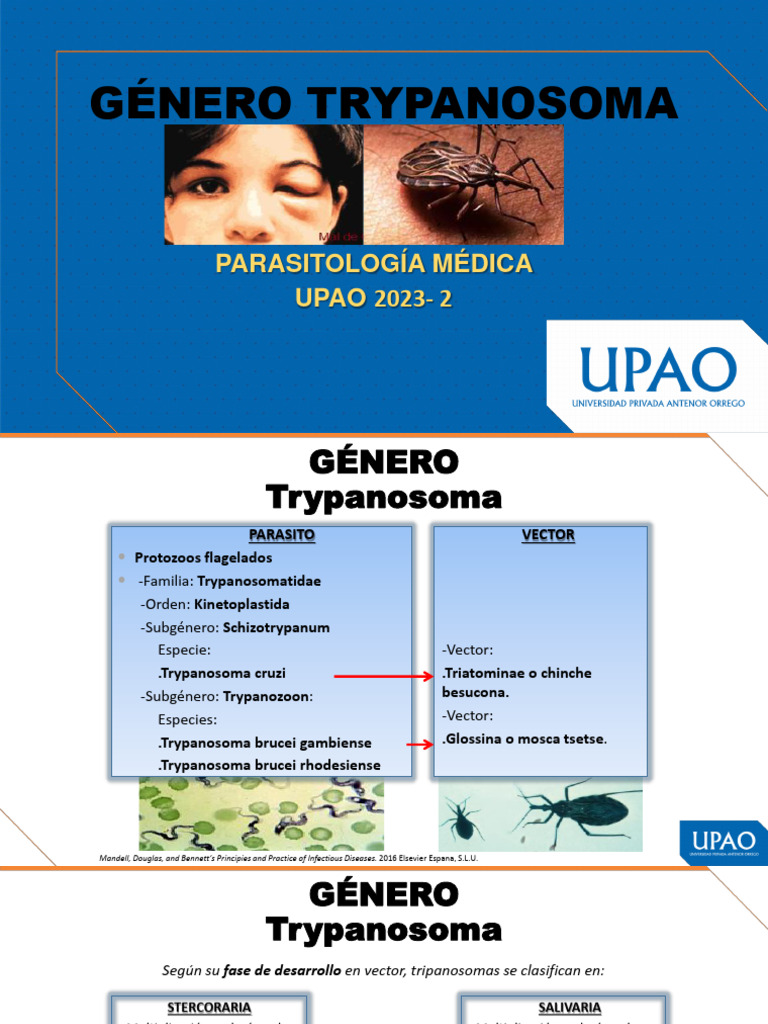 Signo de Romana y Chagoma en Chagas | PDF | Especialidades Medicas ...