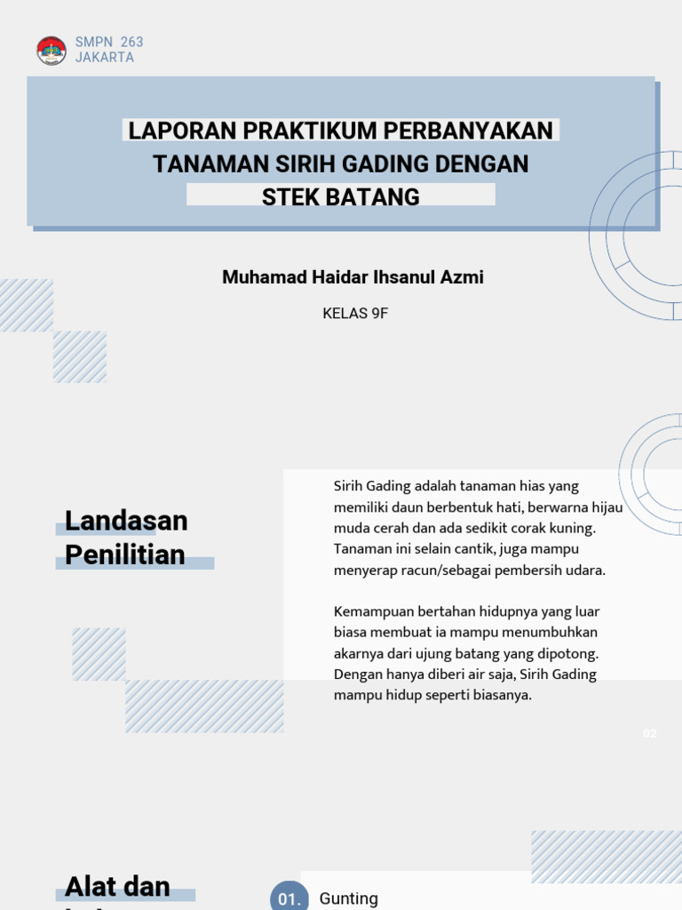 Perbanyakan Sirih Gading dengan Stek | PDF | Griya & Taman | Sains & Matematika