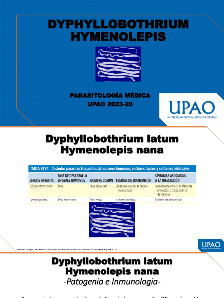 CLASE SEM 12 COMPLETO PARASITOLOGIA MEDICA Modif | PDF | Hogar, jardinería y bricolaje | Salud y ...
