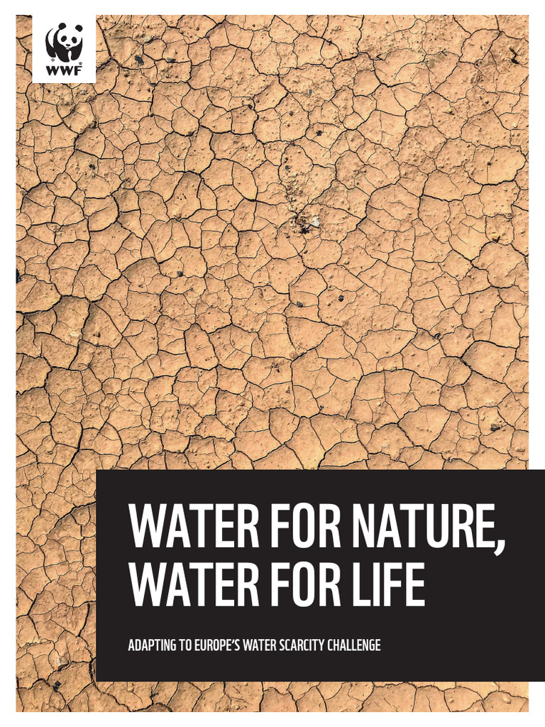 Water Scarcity - Report - v7.0 | PDF | Water Scarcity | Groundwater