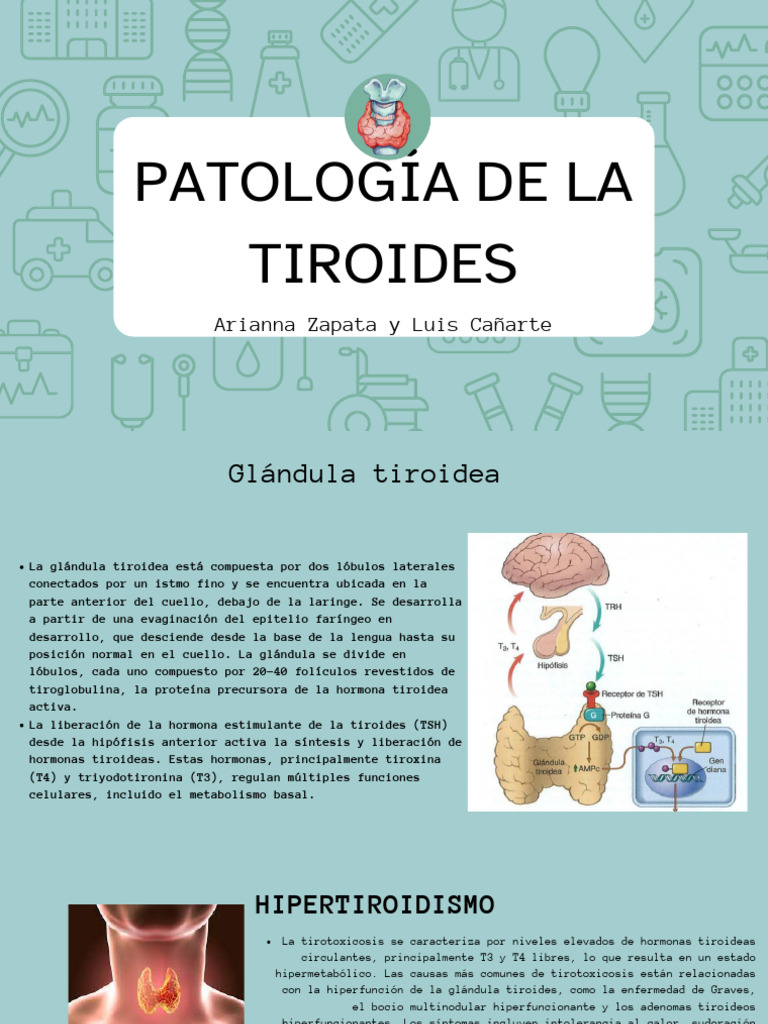 Patología de la tiroides | PDF | Hipertiroidismo | Tiroides