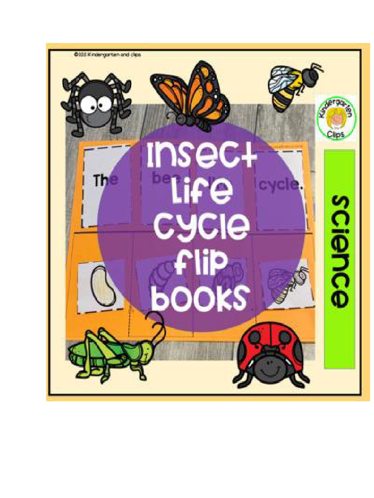 Life Cycle of Insects | PDF